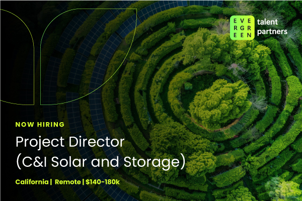 Apply Now | Project Director